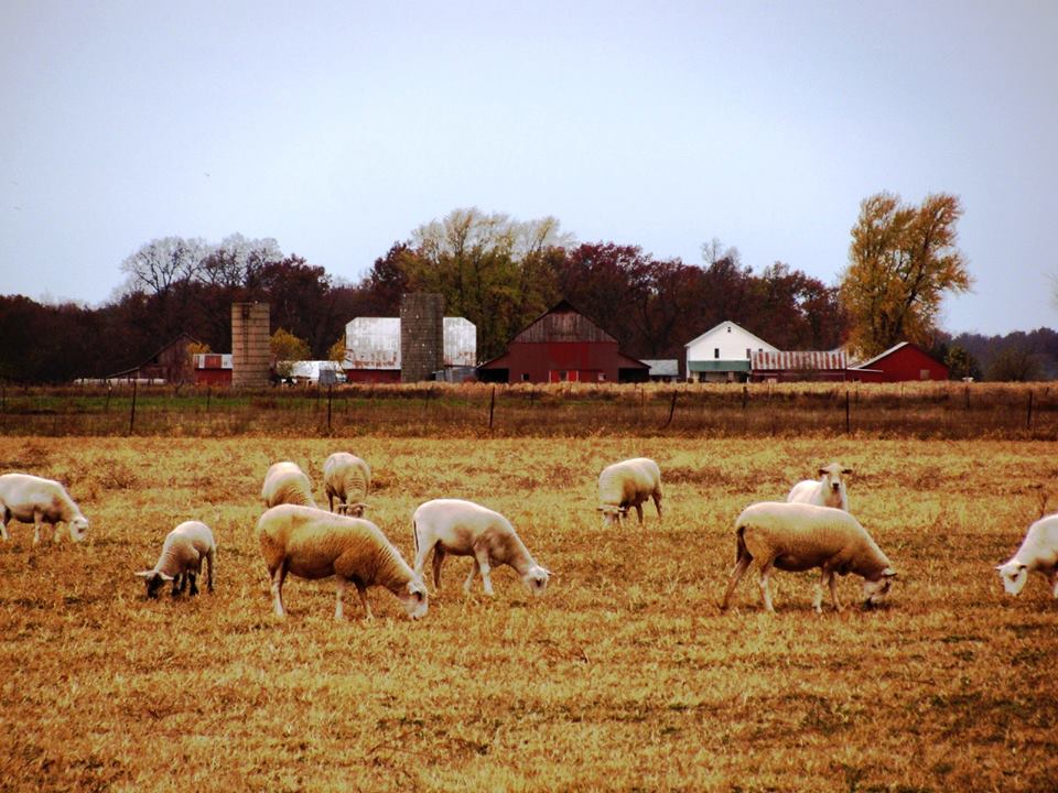 Clark, Missouri - Columbia Convention and Visitors Bureau
